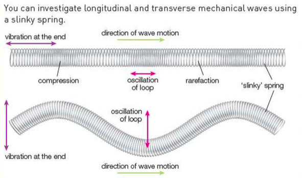 Longitudinal And Transverse Waves Digestible Notes